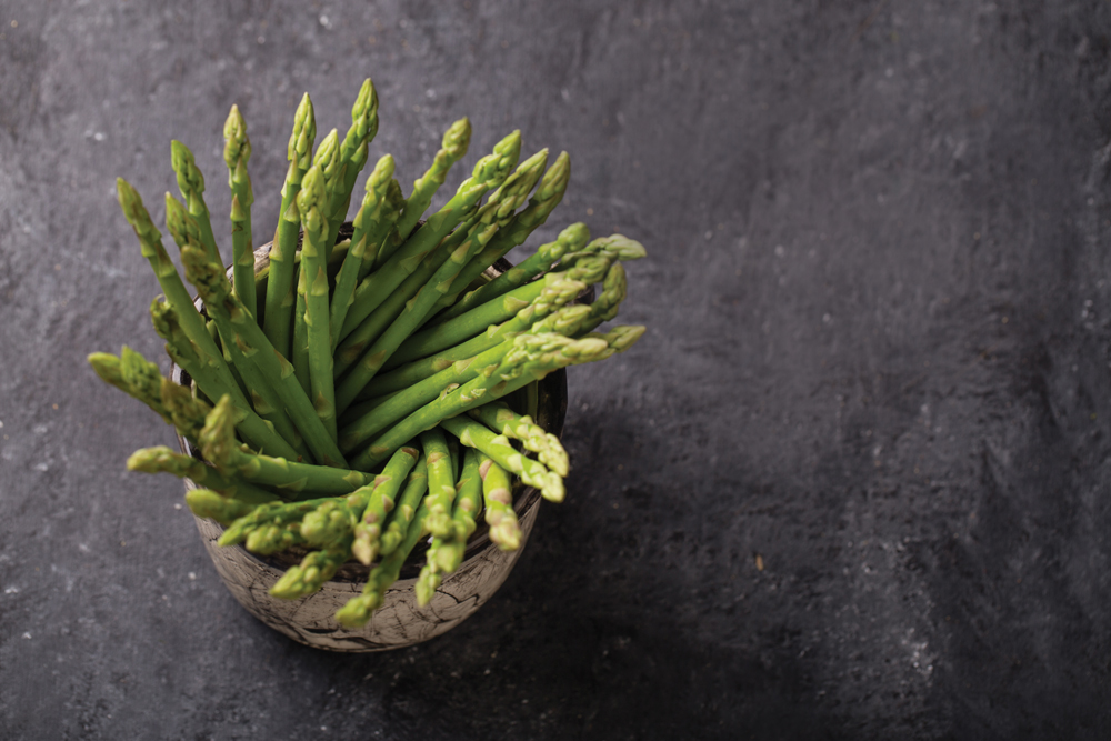 Enzyme-treated Asparagus Stem: Triggering Heat Shock Protein for Stress ...