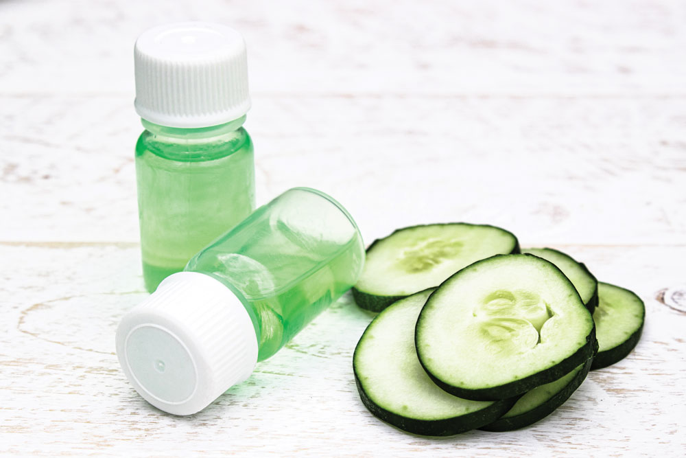 Cucumber Extract: A Novel Nutraceutical Treatment for Osteoarthritis