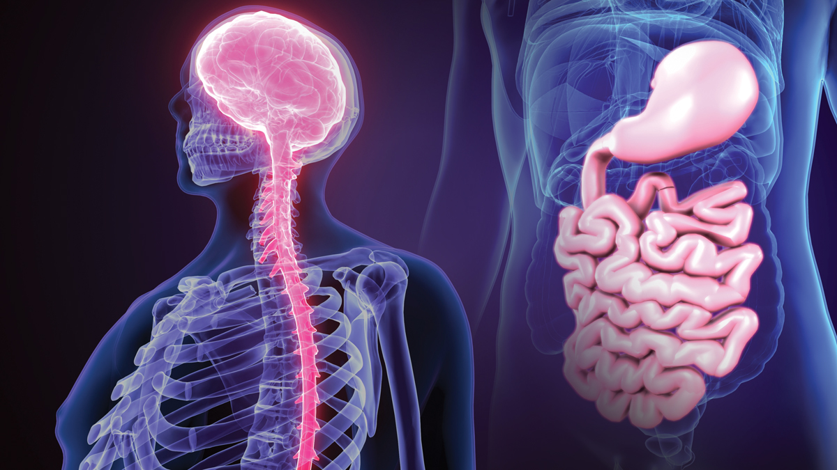 Your Stomach is Talking to Your Brain (And it’s Making You Happy!)